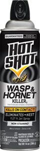 hot shot wasp & hornet killer spray, for insects eliminates the nest, sprays up tp 27 feet, 14 fl ounce