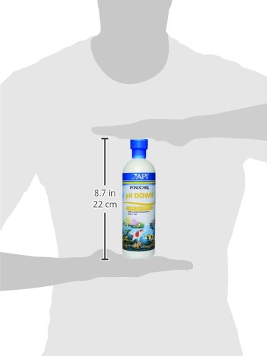 API POND pH DOWN Pond Water pH Reducing Solution 16-Ounce Bottle, White, Model:170B