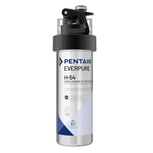 Pentair Everpure H-54 Drinking Water System, EV925267, Includes Filter Head, Filter Cartridge, All Hardware and Connectors, 750 Gallon Capacity, 0.5 Micron