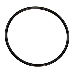 pentair 350013 lid o-ring, challenger (all), wfe (after 11/98)