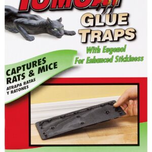 Tomcat Rat Size Glue Traps, 2-Pack (Eugenol Formula)