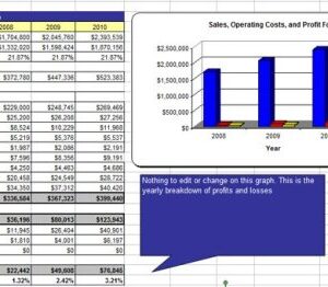 Gift Basket Company Business Plan - MS Word/Excel