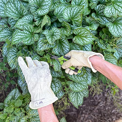 Women's Leather Work and Garden Gloves, Heavy Duty Grain Cowhide, Small (Wells Lamont 1124S),Tan