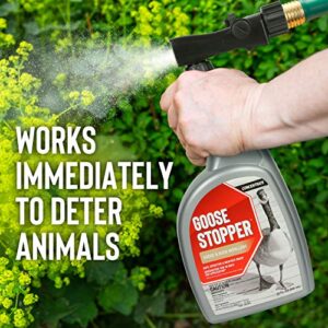 Messina Wildlife Goose Stopper Repellent - Safe & Effective, All Natural Food Grade Ingredients; Repels Geese and Ducks; Easy to Use, 1 Gallon Liquid Concentrate