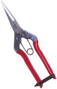 chika masa stainless bud shears t-550s (japan import)