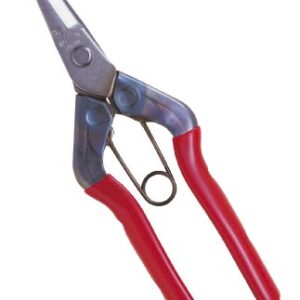 Chika masa stainless bud shears T-550S (japan import)