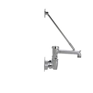 Zurn Z843M1-RC AquaSpec Wall-Mount Service Sink Faucet -Vacuum-Breaker Spout, Pail Hook, Wall Brace, Metal Lever Handles-Rough, Chrome, 8 inches