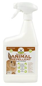 bobbex animal repellent ready-to-use outdoor rabbit, squirrel, and chipmunk repeller spray (32 oz.) b550125