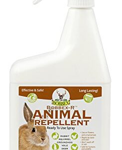 Bobbex Animal Repellent Ready-to-Use Outdoor Rabbit, Squirrel, and Chipmunk Repeller Spray (32 oz.) B550125