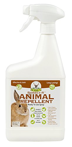 Bobbex Animal Repellent Ready-to-Use Outdoor Rabbit, Squirrel, and Chipmunk Repeller Spray (32 oz.) B550125