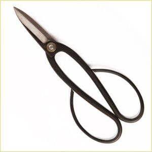 joshua roth ashinaga hasami intermediate bonsai shears