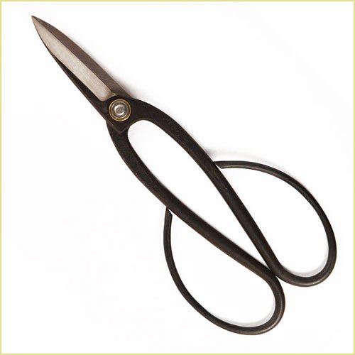 Joshua Roth Ashinaga Hasami Intermediate Bonsai Shears