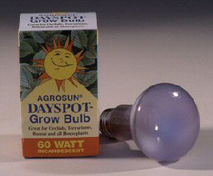 bonsai boy's grow light bulb 60 watt replacement bulb