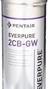 Everpure EV961836