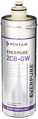 Everpure EV961836