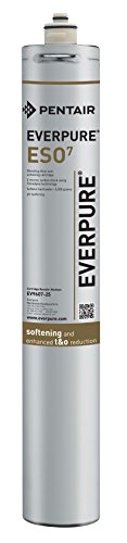 Everpure EV960725