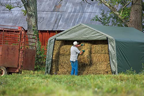 ShelterLogic Peak Style Storage Shelter, Green, 12 x 20 x 8 ft.