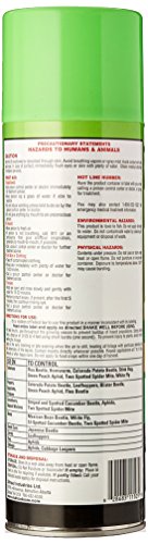 Doktor Doom Spider Mite Knockout, 16-Ounce