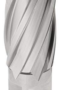 Hougen 12128 7/8 Inch Diameter x 1 Inch Depth of Cut 12,000 Series High Speed Steel Annular Cutter 3/4 Inch Weldon Shank for Magnetic Drills