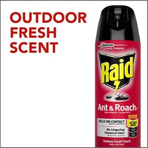 Raid 649023 Ant & Roach Killer, Red