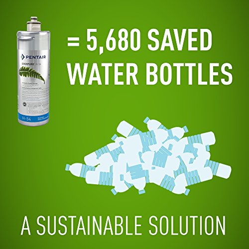 Everpure H-54 Drinking Water Filter System (EV9252-67). Quick Change Cartridge System. Commercial Grade Water Filtration and Lead Reduction