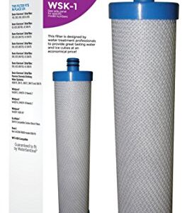 WaterSentinel WSK-1 Replacement Water Filter: Fits Whirlpool WHER12 Filters