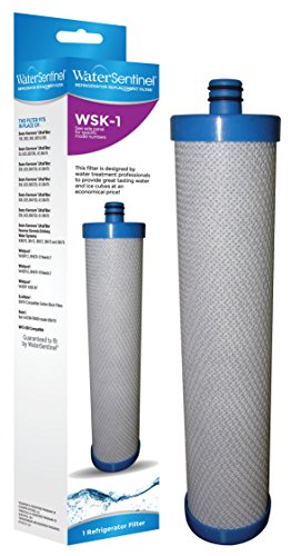 WaterSentinel WSK-1 Replacement Water Filter: Fits Whirlpool WHER12 Filters