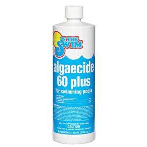 in the swim swimming pool algaecide 60 plus - 1 quart