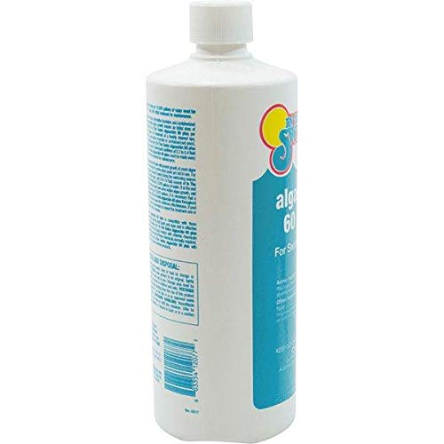 In The Swim Swimming Pool Algaecide 60 Plus - 1 Quart