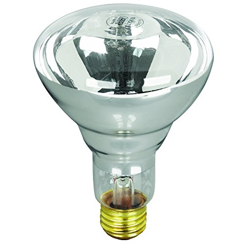 Feit Electric 100R20/S-12 100 Watt 12 Volt Pool/Spa R20 Short Flood Reflector Light Bulb