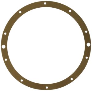 hayward spx0506d niche gasket for underwater lights, vinyl