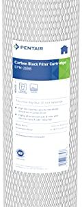 Pentair Pentek EPM-20BB Big Blue Carbon Water Filter, 20-Inch, Whole House Modified Epsilon Carbon Block Replacement Cartridge with Bonded Powdered Activated Carbon (PAC) Filter, 20" x 4.5", 10 Micron