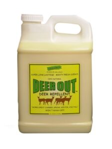 deer repellent: deer out deer repellent 2 1/2 gallon concentrate