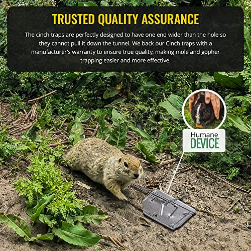 Cinch Gopher Trap Kit - Small (1 Pack ) Heavy Duty, Reusable Rodent Trapping System, Weather Resistant, Outdoor Use - for Sports Fields, Ranches, Yards and More - Personal and Professional-Grade Use