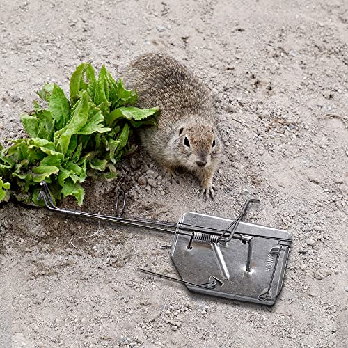 Cinch Gopher Trap Kit - Small (1 Pack ) Heavy Duty, Reusable Rodent Trapping System, Weather Resistant, Outdoor Use - for Sports Fields, Ranches, Yards and More - Personal and Professional-Grade Use