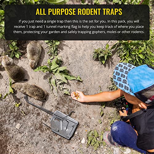 Cinch Gopher Trap Kit - Small (1 Pack ) Heavy Duty, Reusable Rodent Trapping System, Weather Resistant, Outdoor Use - for Sports Fields, Ranches, Yards and More - Personal and Professional-Grade Use