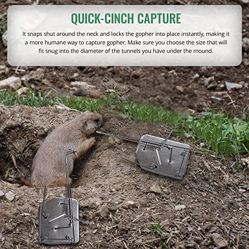 Cinch Gopher Trap Kit - Small (1 Pack ) Heavy Duty, Reusable Rodent Trapping System, Weather Resistant, Outdoor Use - for Sports Fields, Ranches, Yards and More - Personal and Professional-Grade Use