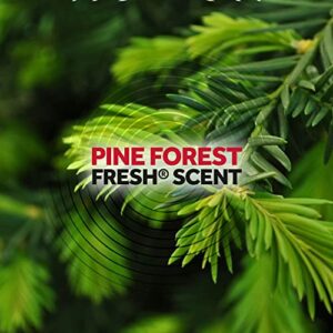 Raid Ant Killer Spray Pine Forest 17.5 Ounce (Pack of 1)