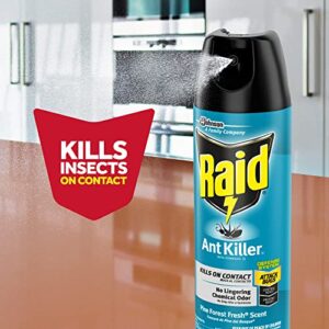 Raid Ant Killer Spray Pine Forest 17.5 Ounce (Pack of 1)