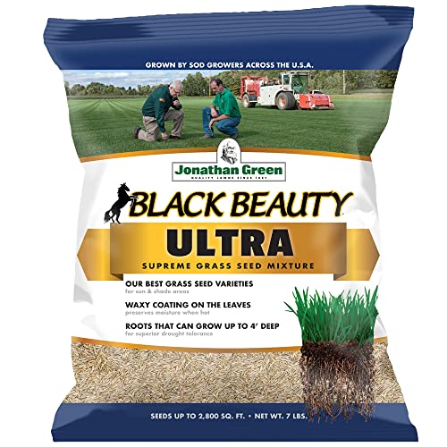 Jonathan Green (10322) Black Beauty Ultra Grass Seed - Cool Season Lawn Seed (7 lb)