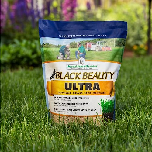 Jonathan Green (10322) Black Beauty Ultra Grass Seed - Cool Season Lawn Seed (7 lb)