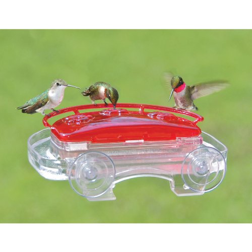 Aspects 407 Jewel Box Window Hummingbird Feeder, 8-Ounce