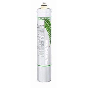 everpure ev927072 h-300 replacement cartridge