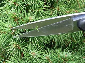 Okatsune 207 Pine Needles Shears with BP