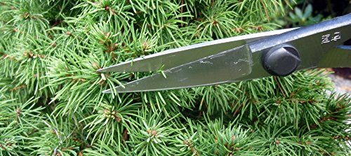 Okatsune 207 Pine Needles Shears with BP