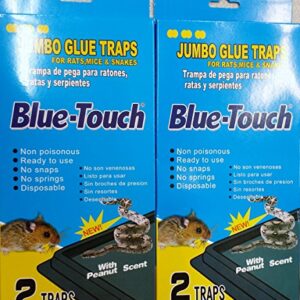 2 Packs of 2 Blue-Touch Jumbo Rat, Mice, and Snake Traps Total 4 Traps)