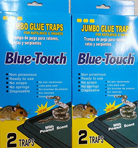 2 Packs of 2 Blue-Touch Jumbo Rat, Mice, and Snake Traps Total 4 Traps)