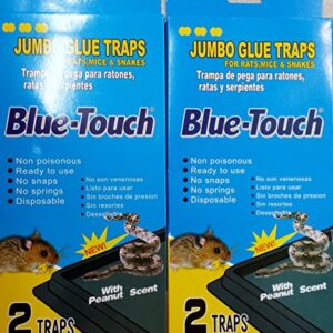 2 Packs of 2 Blue-Touch Jumbo Rat, Mice, and Snake Traps Total 4 Traps)