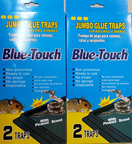 2 Packs of 2 Blue-Touch Jumbo Rat, Mice, and Snake Traps Total 4 Traps)