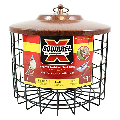 More Birds Squirrel-X Double Suet Feeder, Outdoor Wild Bird Feeder, Cage Bird Feeder, 2 Suet Cake Capacity